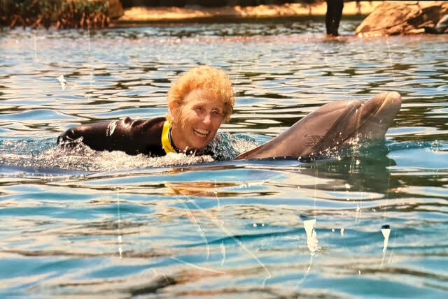 Barbara Postel Obituary - Kings Park, NY | Clayton Funeral Home