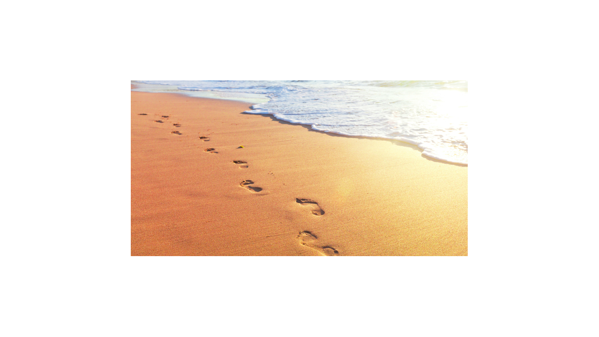 Roderick Nelson Obituary - Bronx, NY | McCall's Bronxwood Funeral Home