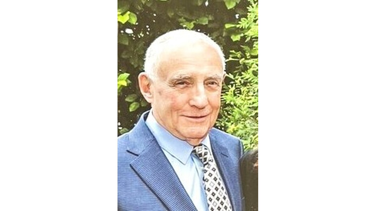 Lee Gurvey Obituary - Buffalo Grove, IL | Goldman Funeral Group