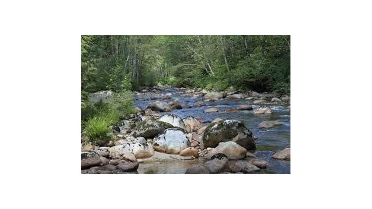 Paul Strachan Obituary - Orangeville, ON | Dods & McNair Funeral Home ...