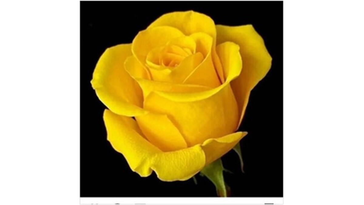 Malcom Thomas Spears Obituary - Oakland, CA | Fouché's Hudson Funeral Home