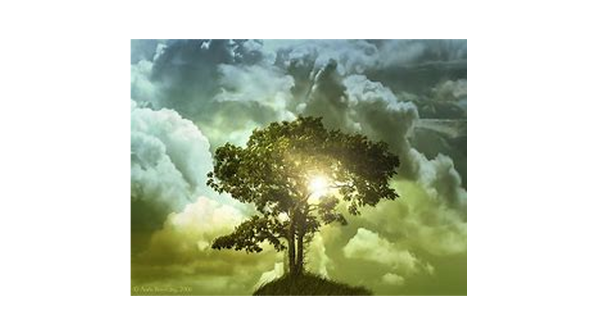 James Bass Obituary - Van Buren, AR | Ocker-Putman Funeral Homes